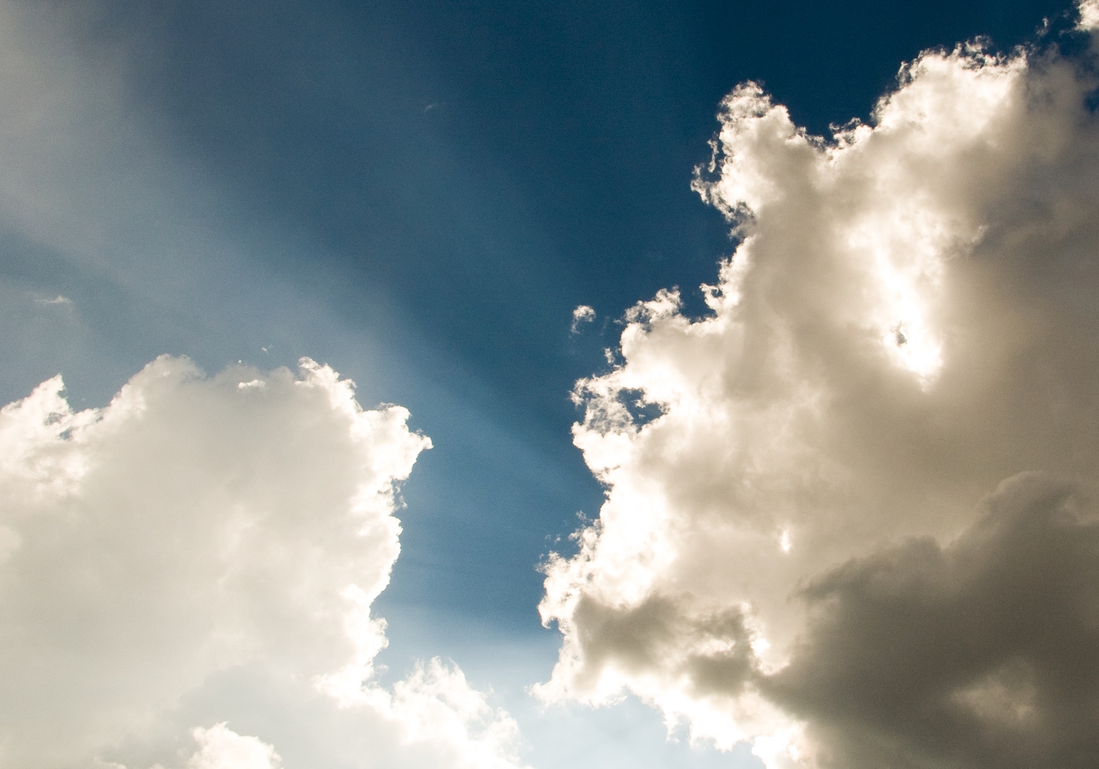 Chapter 10 – Linnea the White – DownSpend