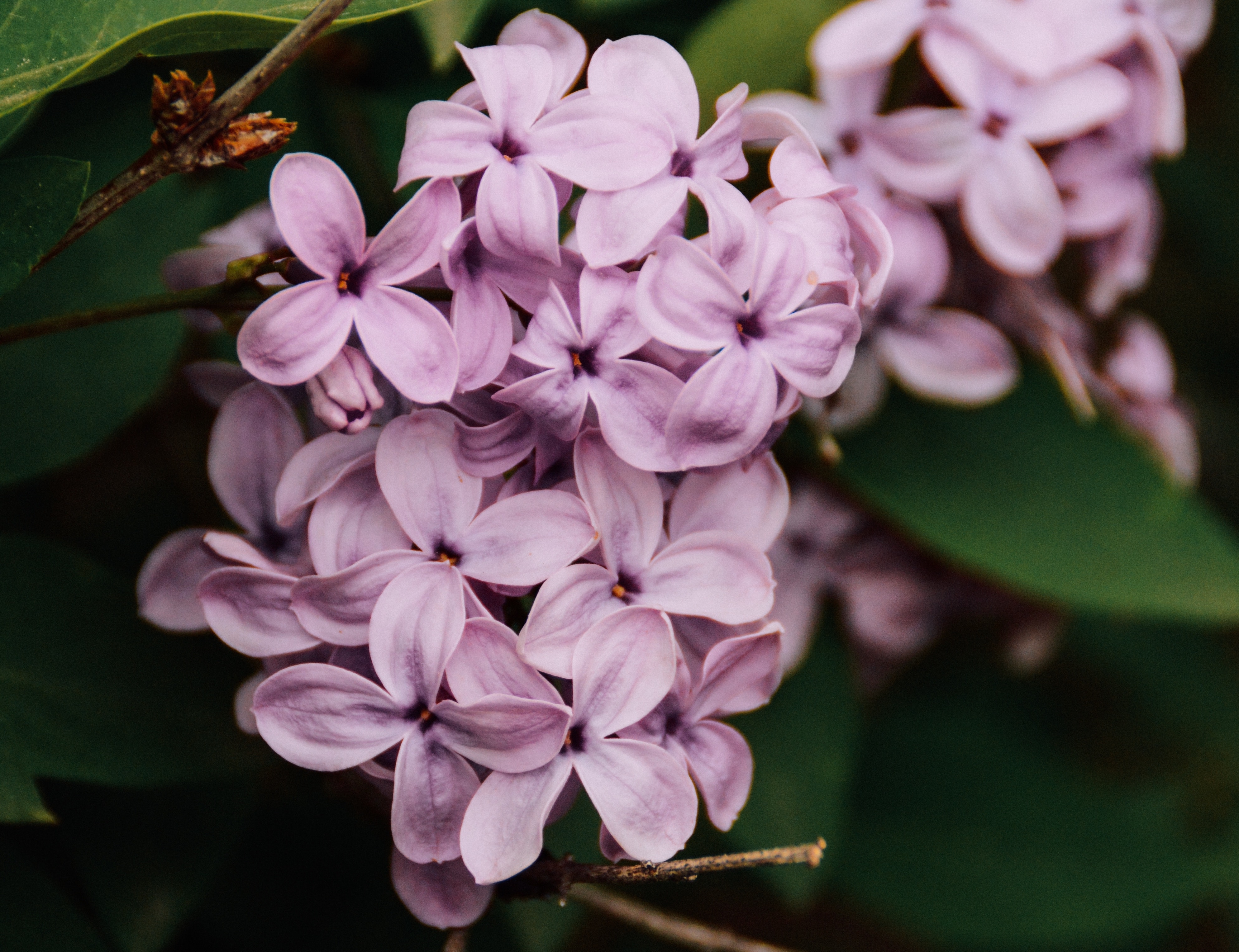 Chapter 2 – Scratch and Dent – DownSpend